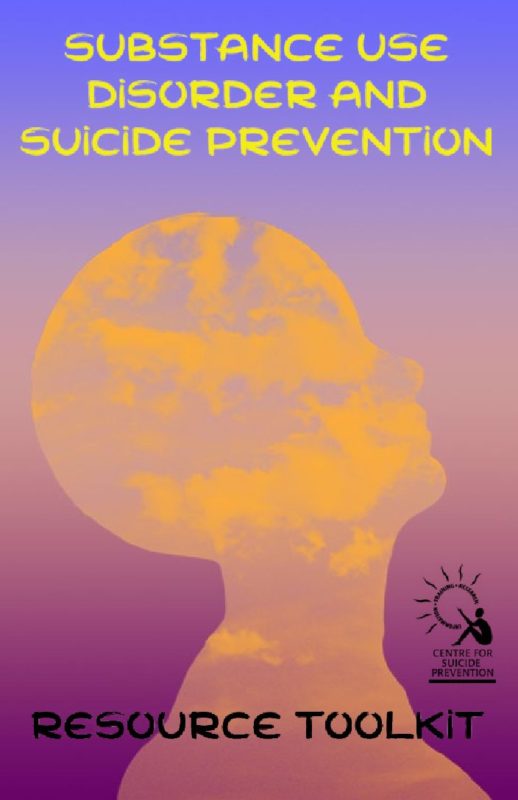 SUD-Toolkit | SPIN Brandon