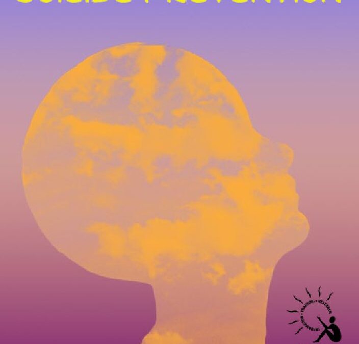 SUD-Toolkit | SPIN Brandon